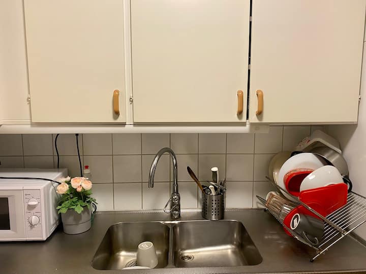 Am Renting The Whole Apart - Botkyrka