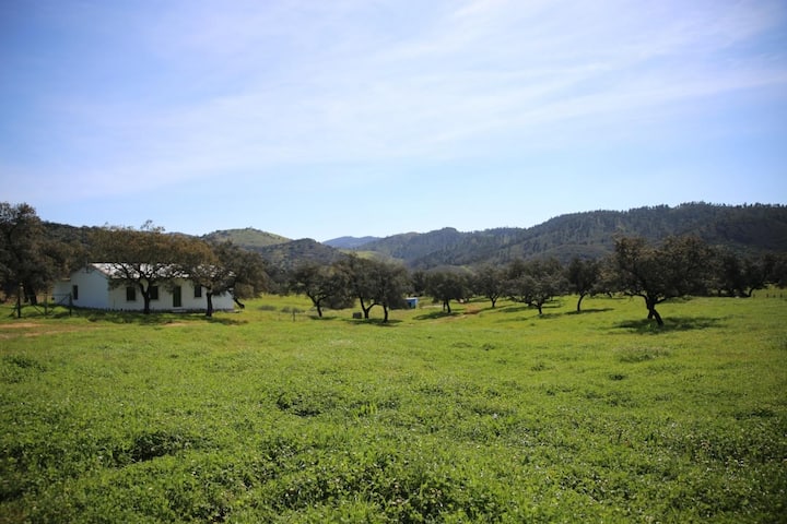 Casa De La Matanza - Nerva