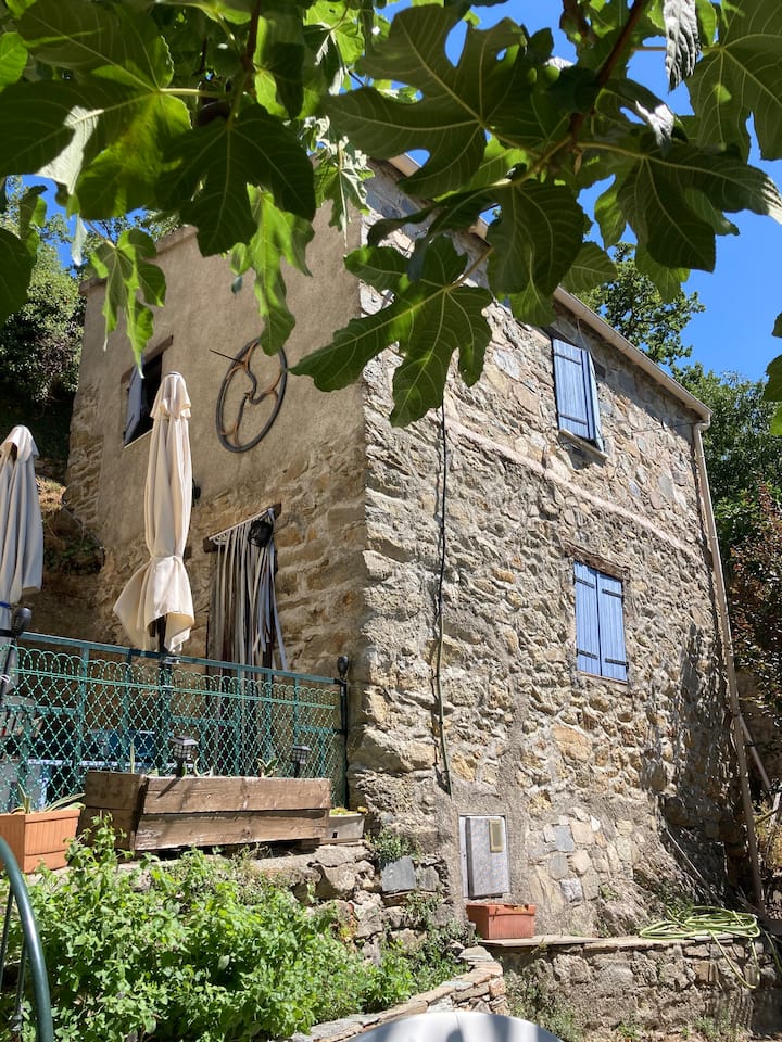 Maisonette Saint Pierre De Venaco - Venaco