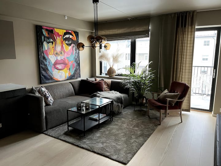 Leilighet I Drammen Sentrum - Drammen