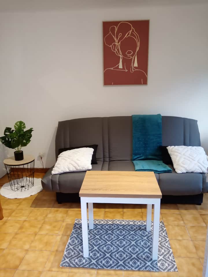 Appartement Avec Jardin - Nîmes