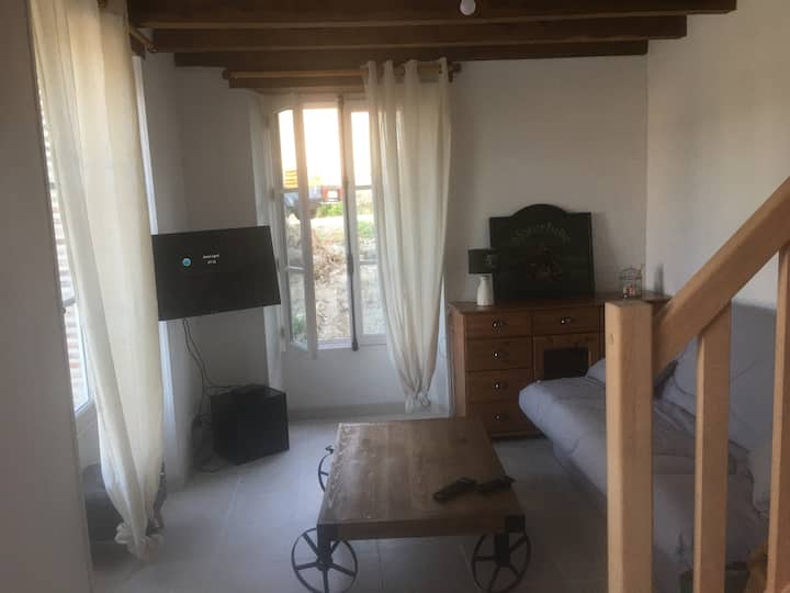 Petite Maison Indépendante Au Cœur De La Ville - 塞扎訥