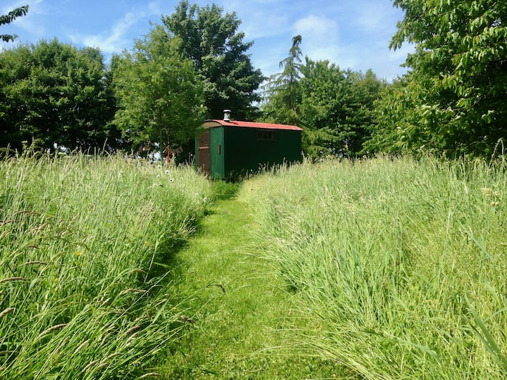 Cotswolds Glamping - Shepherd's Hut - Nailsworth