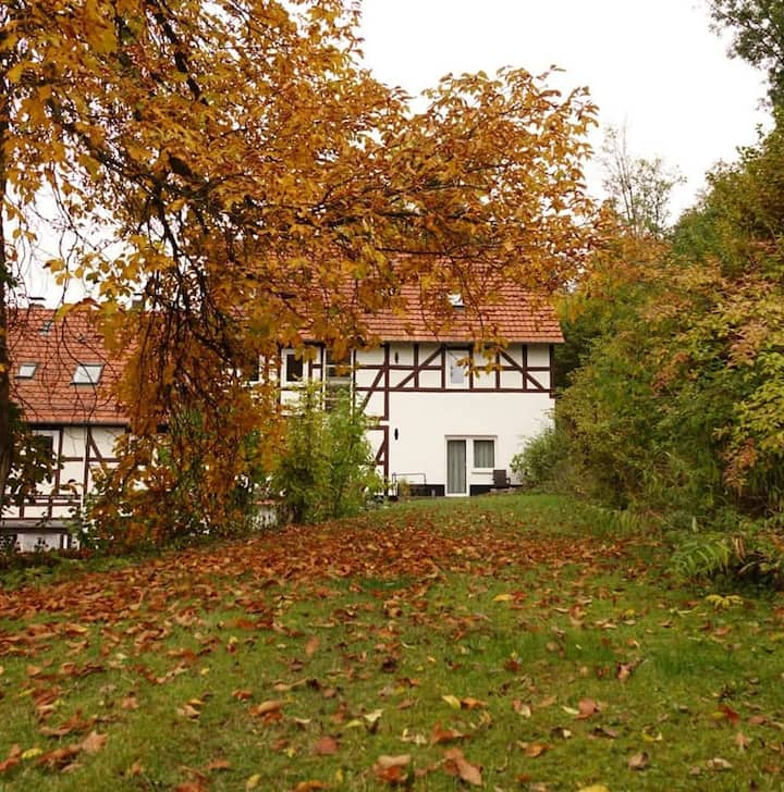 Haus An Der Werbe (Studio) - Waldeck