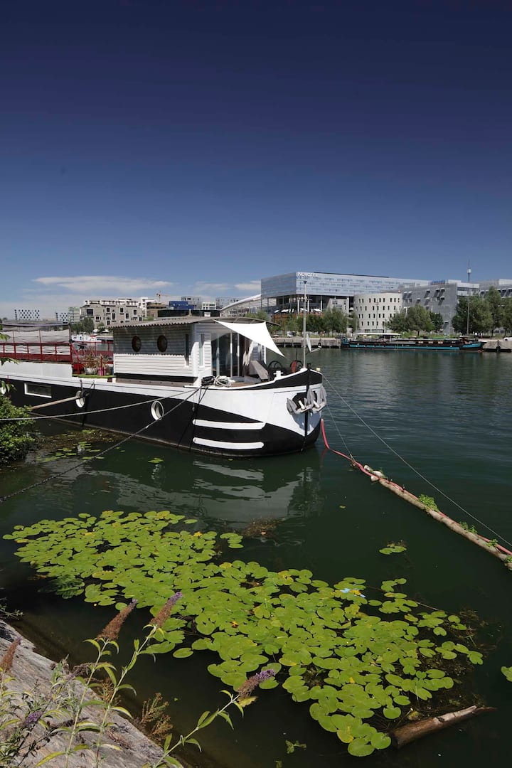 Péniche à Lyon Au Calme Sur La Saône - Lyon