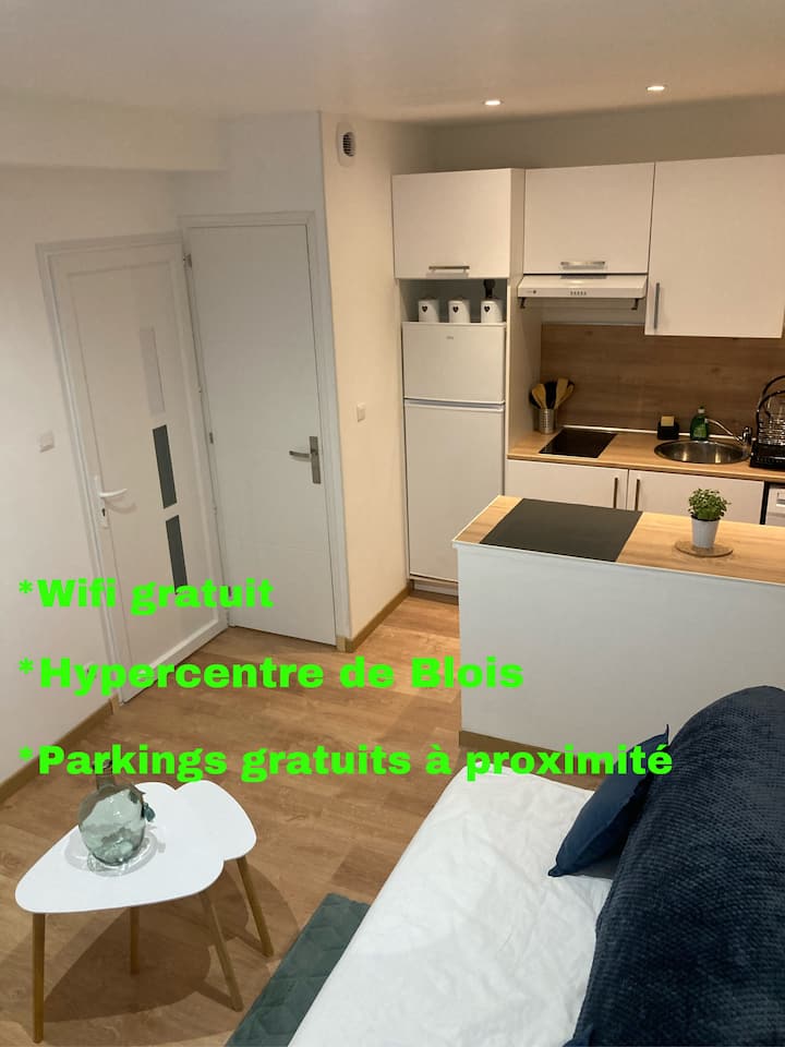 Splendide Studio Rénové En Hypercentre Et Au Calme - Blois