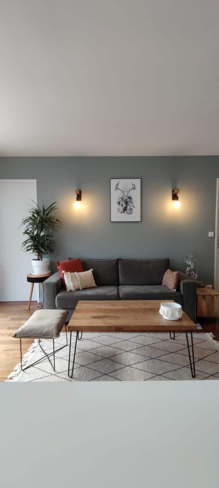 Joli Appartement à La Montagne. - Lac Léman