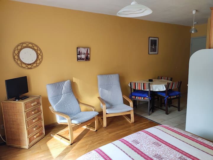 L'alexandra - Studio N°4 - 1er éTage Avec Balcon - Bourbonne-les-Bains