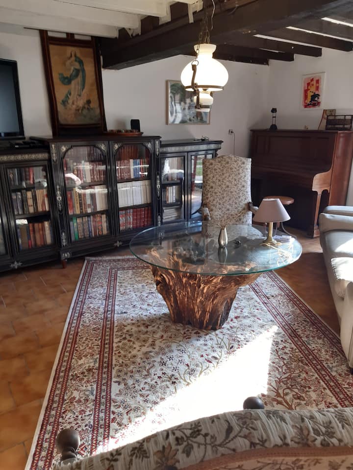 Maison De Pierre à La Montagne - Foix