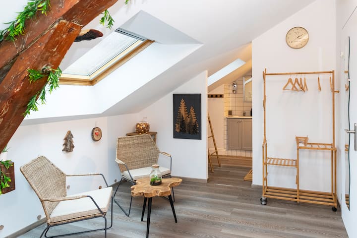 Notre Chambre "Dame Nature" - Rambervillers