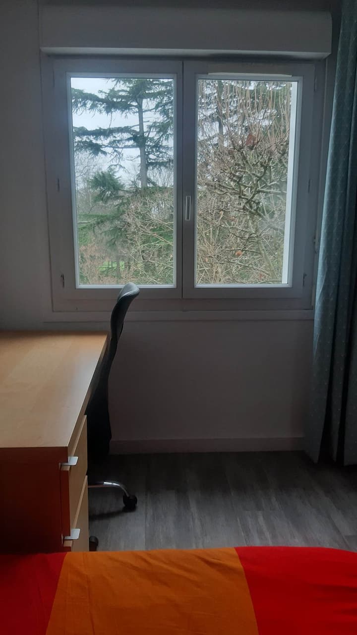Chambre Vue Sur Le Parc De Procé - Nantes