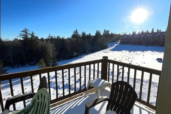 The Holiday Haus - Seneca State Forest, Dunmore