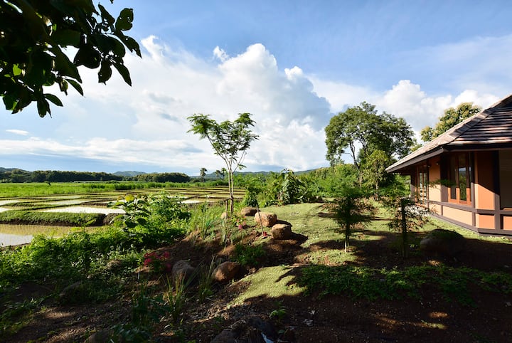 Villa 66m2 With A Great View On The Rice Fields - Thailand