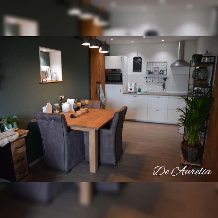 De Aurelia - Heerenveen