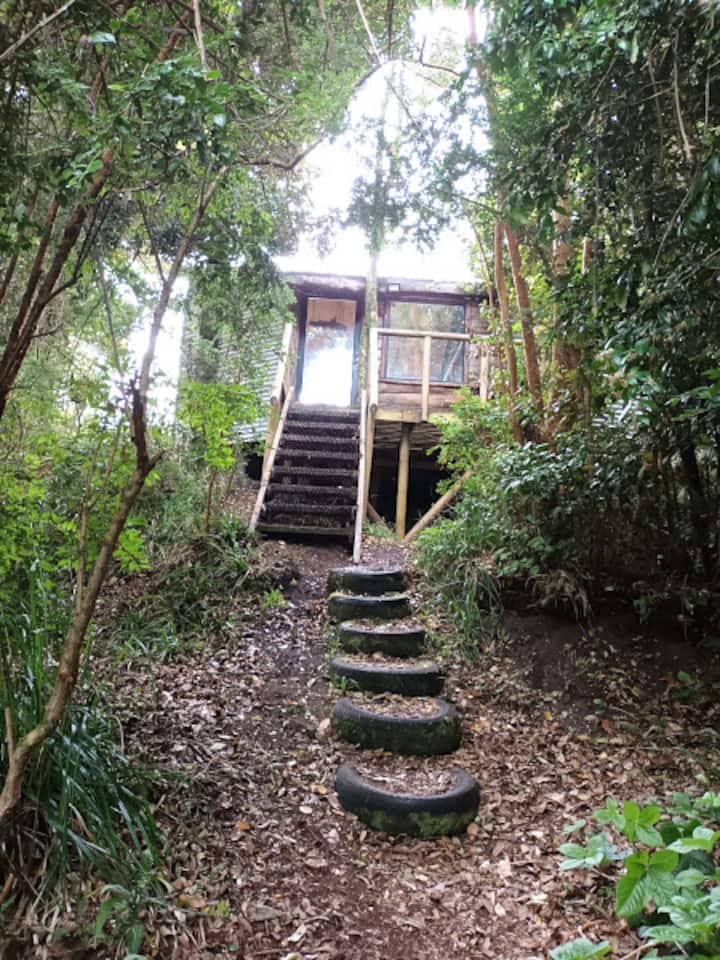 Cabaña Lelbun - Queilen