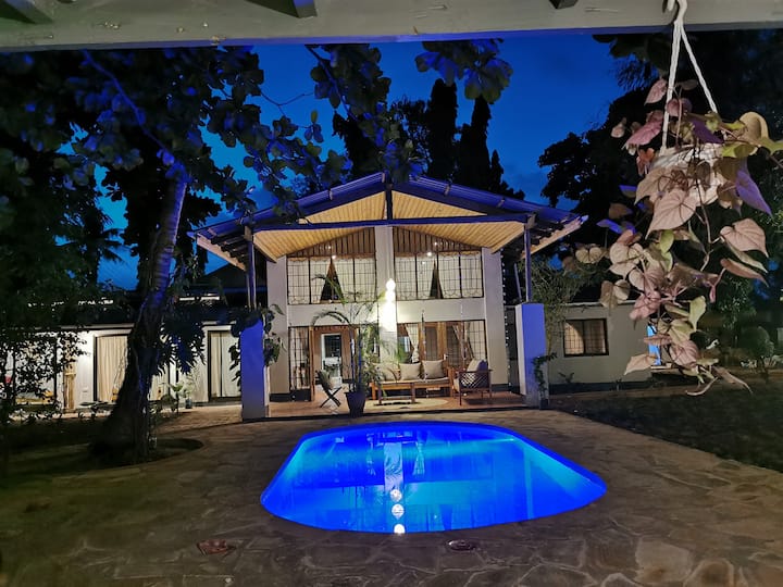 Come And Experience Mikoko Vibes - Tanzanie