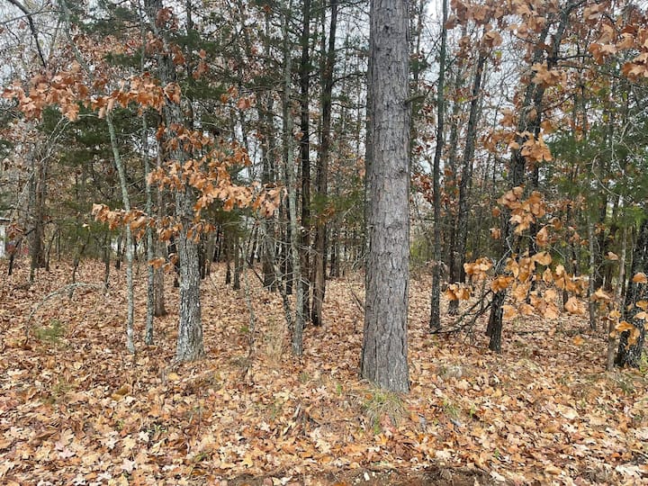 Campsite W/ Camper Rv Parking /Tent Site Pitch - Mountain Home, AR
