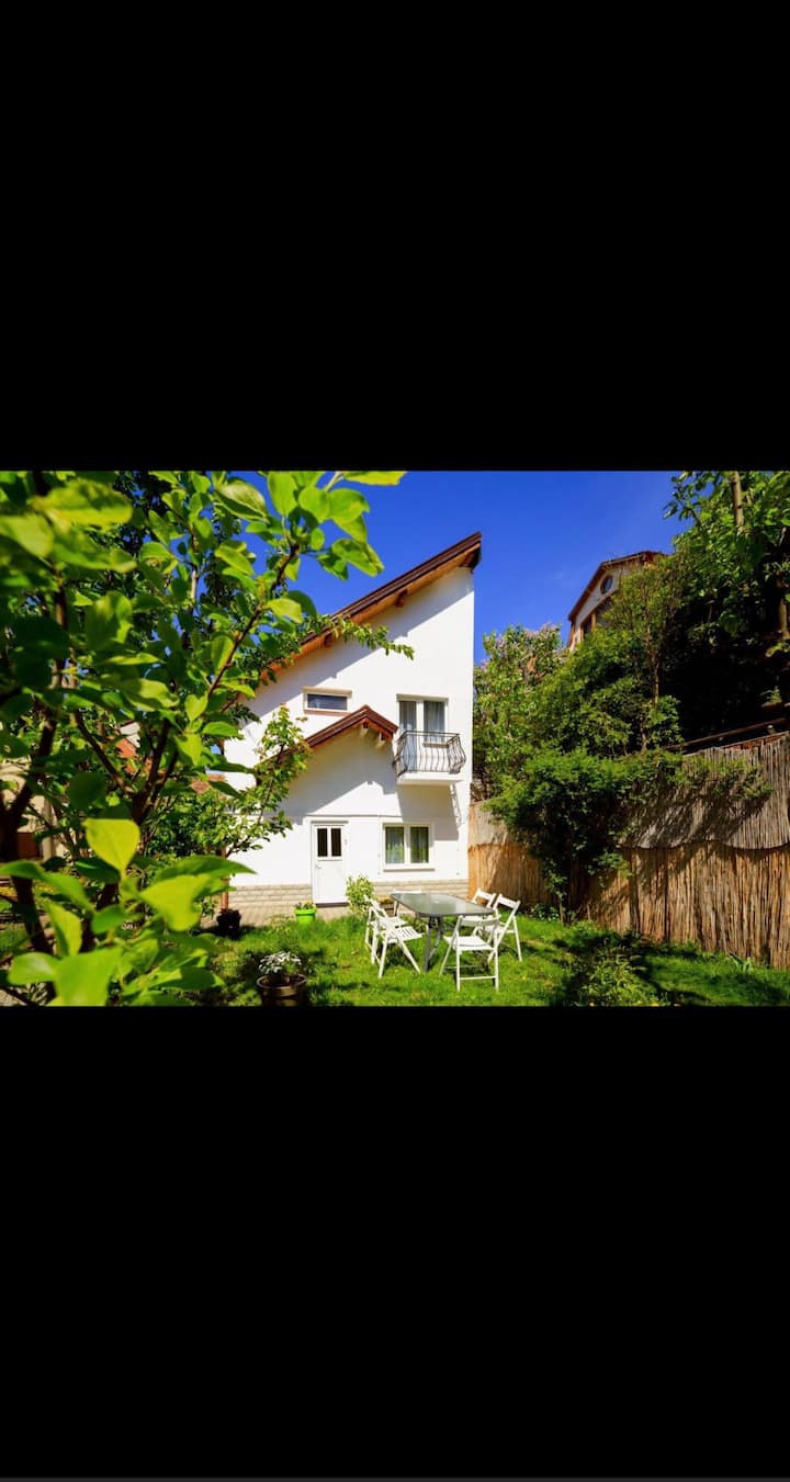 Victoriei Residence - 錫比烏