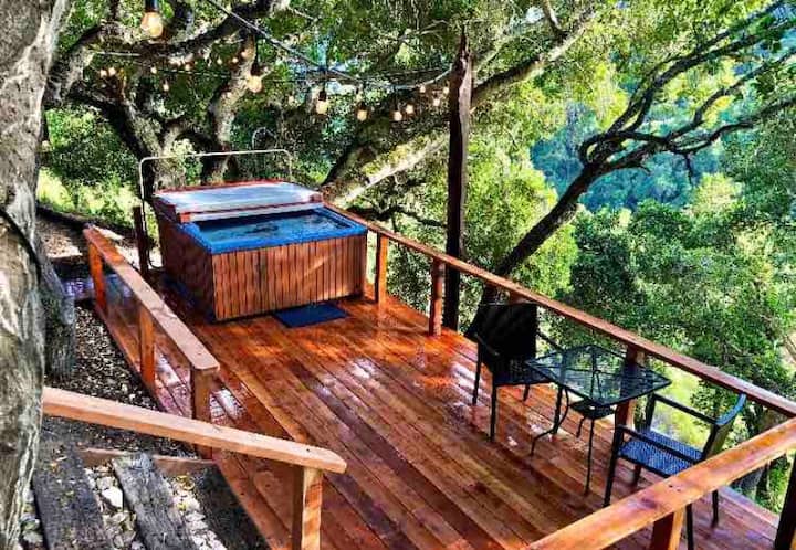 Treehouse - Carmel Valley, CA