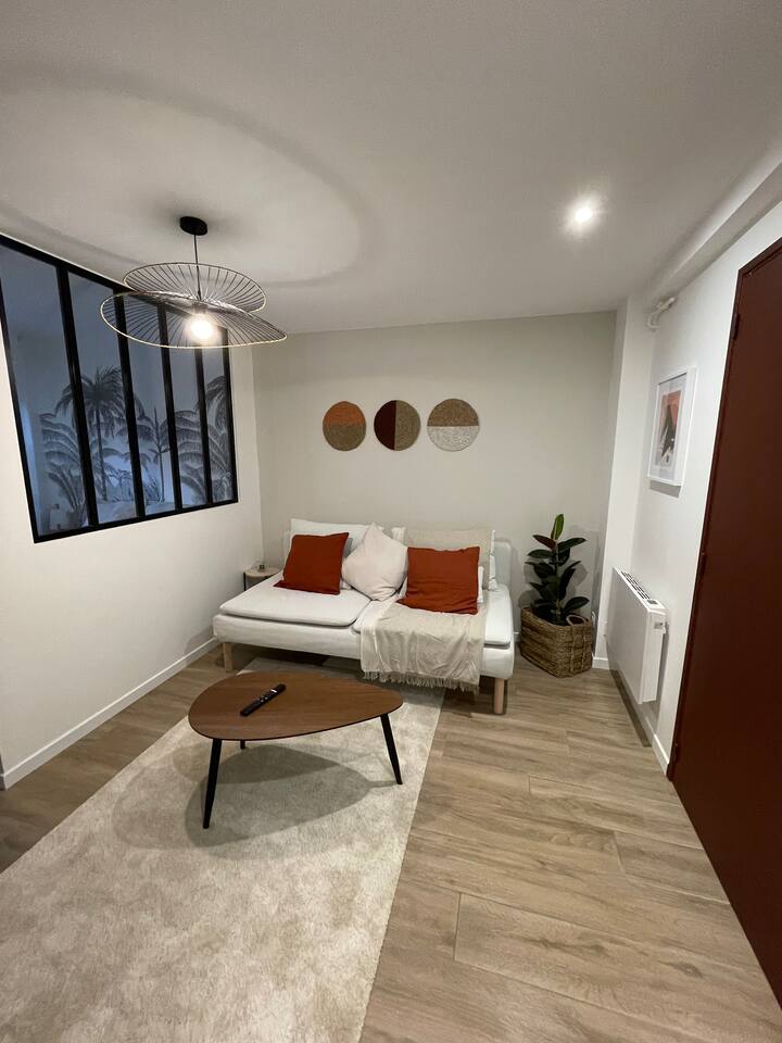New ! Appartement Hyper Centre - Toulouse