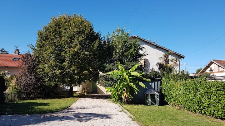 La Belle D'albi Et Jardin Arboré - Albi
