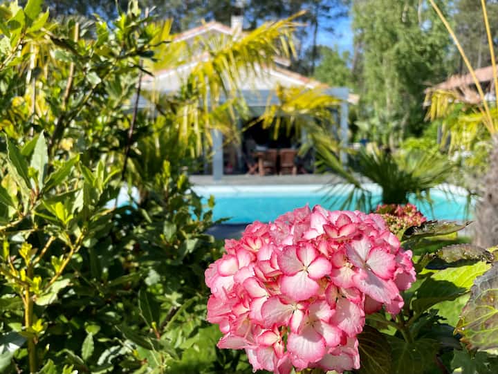 Villa 8 Pers Seignosse - Seignosse