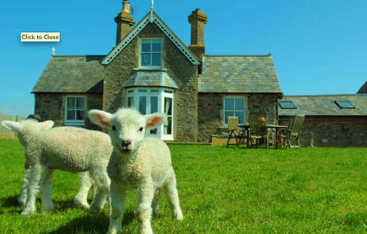 Camber Sands Retreat Farm Stay Sleeps 12 - Camber Sands