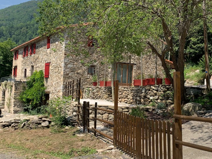 Mas Graffouil 2 - Molló