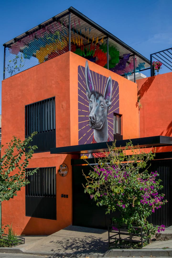Casa Oaxapy | Ideal Para Grupos Grandes - Oaxaca