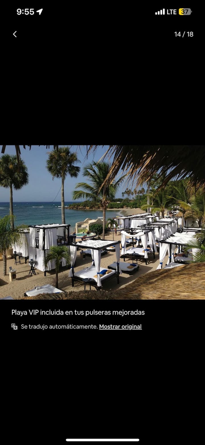 Vip Gold Jr S Puerto Plata 4hb - Puerto Plata