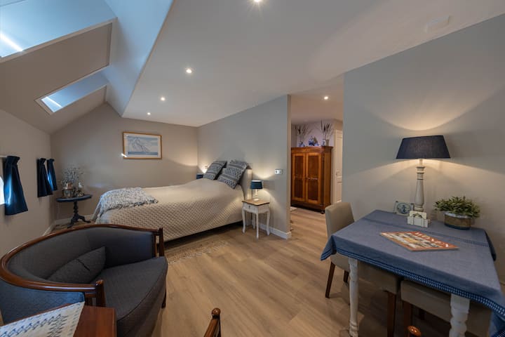 35m2 Luxe Kamer Met Eigen Badkamer - Giethoorn