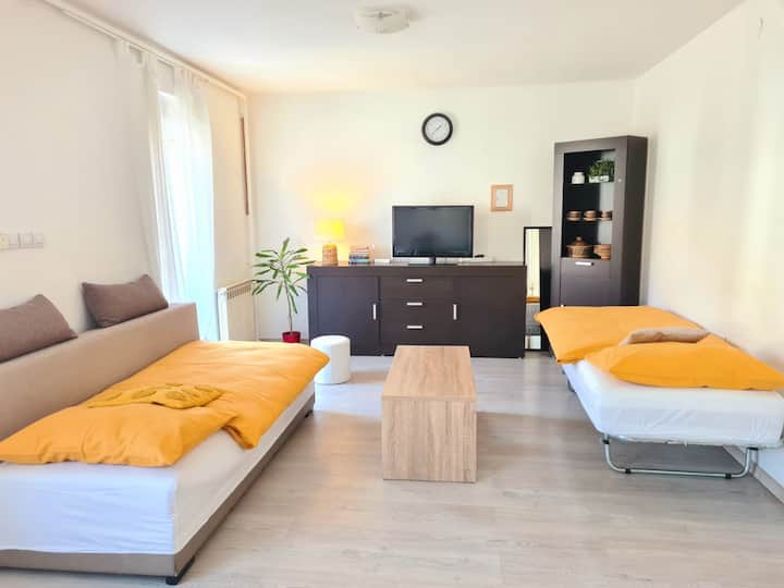 Orchid House And 2 Parking Spots - Zagreb