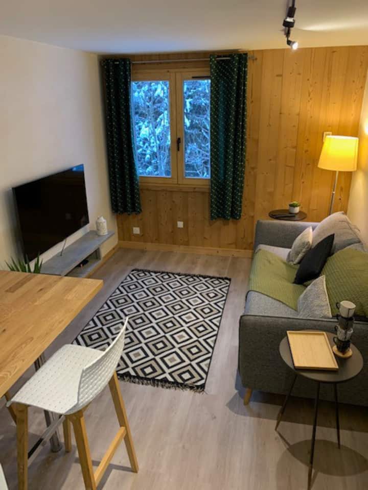 Studio Rénové De 19m2, Proche Centre - Chamonix - Chamonix