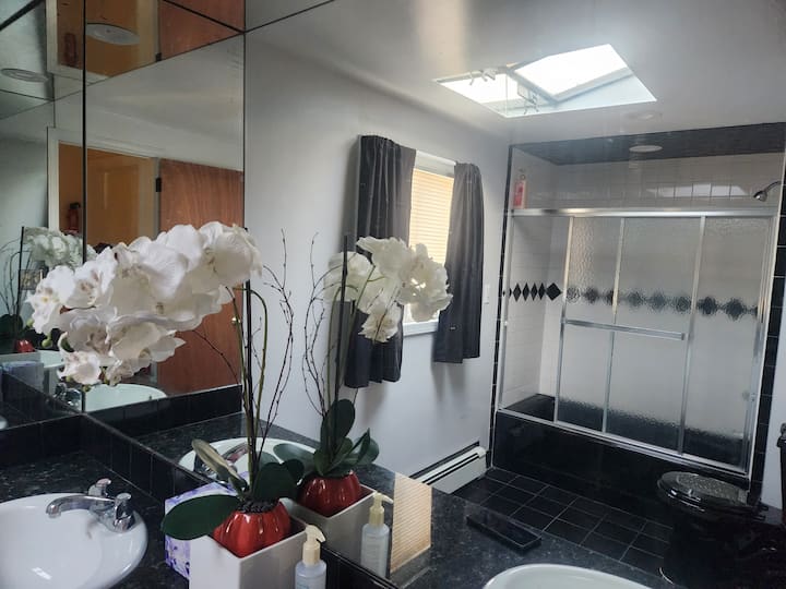 Foxy's Den- Entire Home . Exclude Basement - Long Island, NY