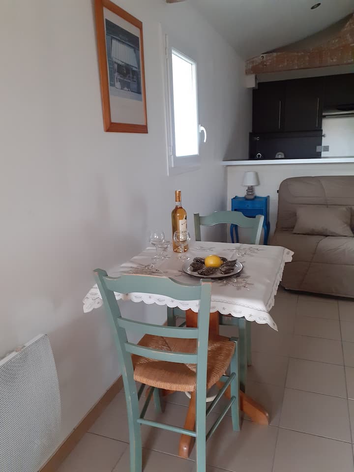 Agréable Studio De Plain-pied - Lège-Cap-Ferret