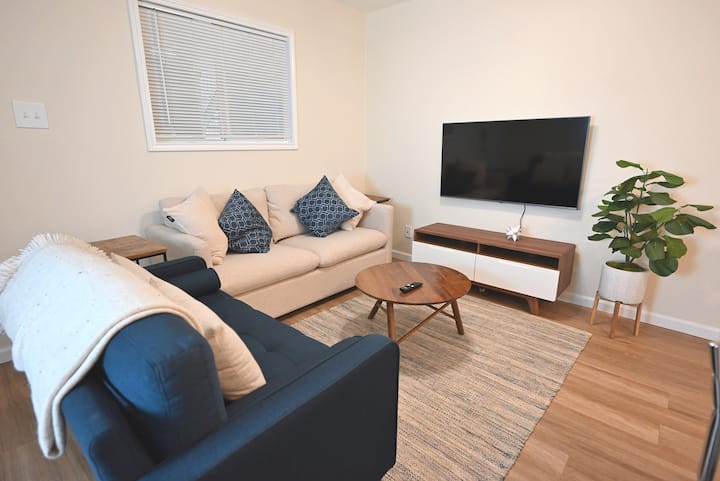 The Austin Vacation - The Pecan Street Festival