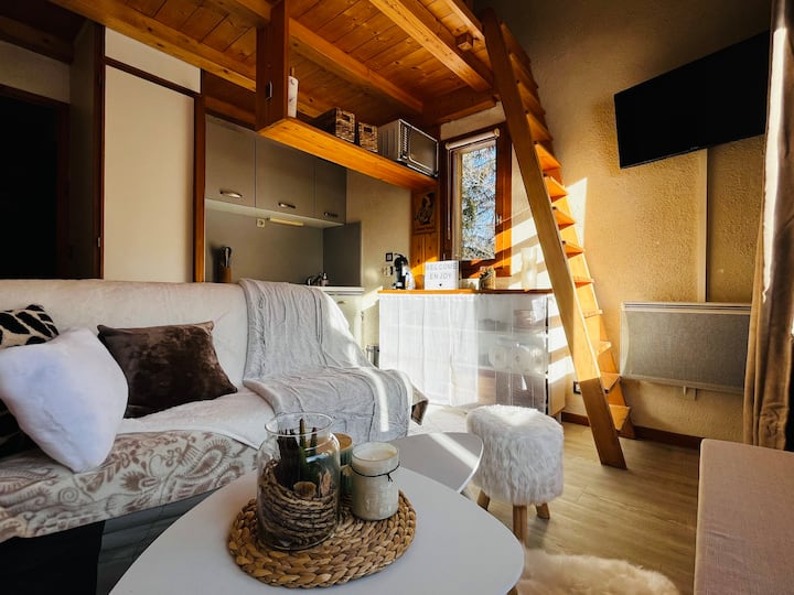 Appartement Calme Et Chaleureux - Haute-Savoie
