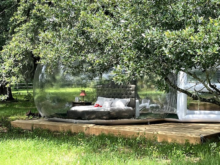 Comfy Bubble Under Starry Sky Among Horses & Oaks - Hawthorne, FL