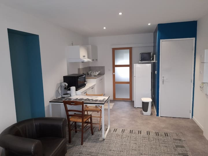 Grand Studio Indépendant Et Neuf - Angers