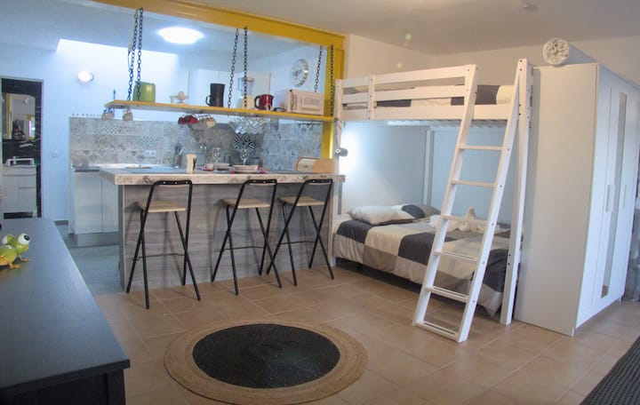 Welcome Pets With Humans - Playa Blanca