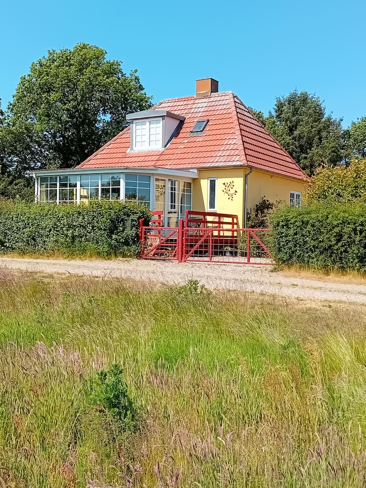 Cozy House Only 500 Meters From Ribe C - Ribe