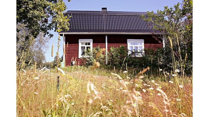 Hurmaava Tarula Peltomaisemassa - Vierumäki