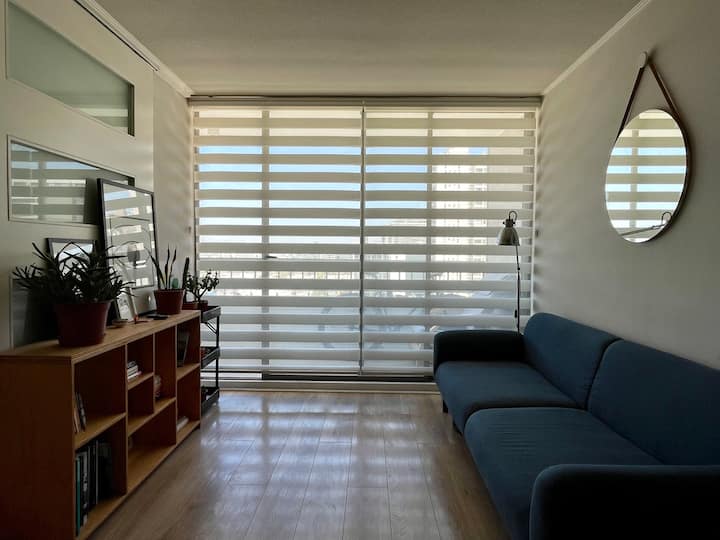 Cómodo Depto. Cercano A Barrio Italia - Providencia