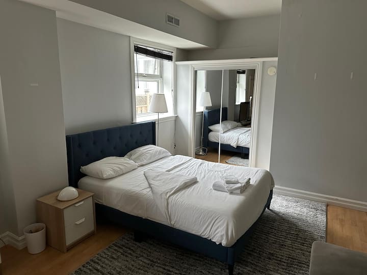 Cozy Studio In Junction Triangle+ Free Parking - Toronto