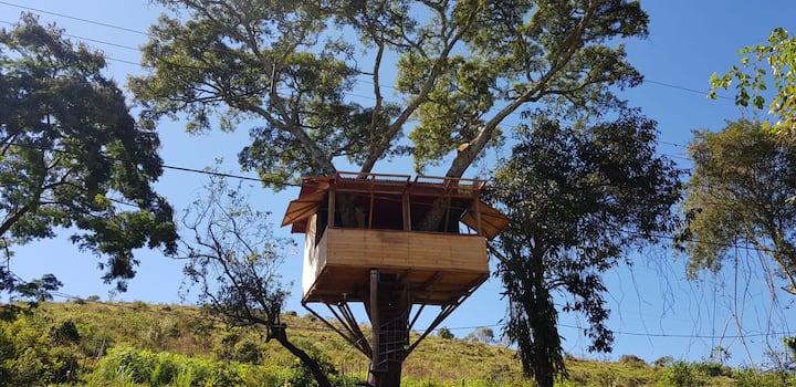 Casa Da ÁRvore Eventos - Caxambu