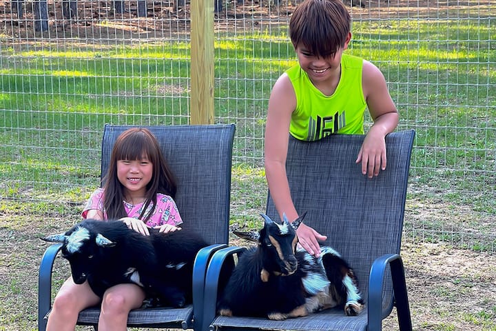 Nature’s Spirit Farm & Forest - Withlacoochee State Forest, Brooksville