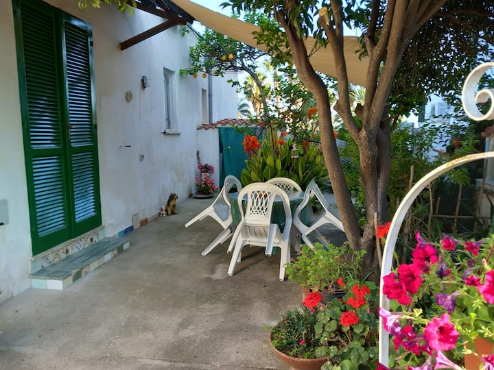 A Casa Di Zoe - Forio