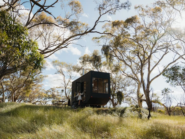 Cabn Minnie - Clare Valley - Martindale Hall, Mintaro