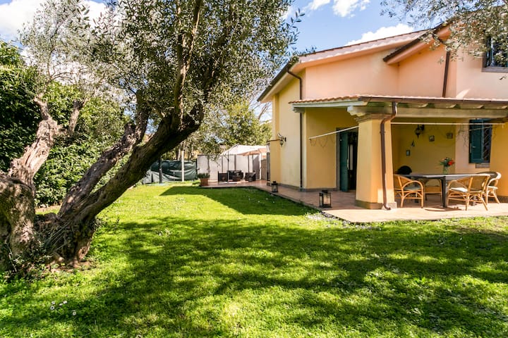 Il Nido Del Cigno - Trevignano Romano