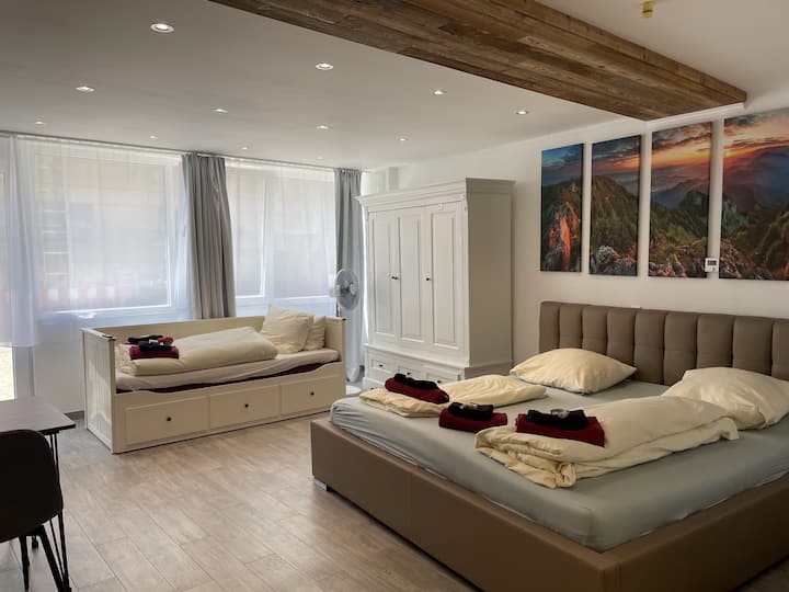 Moderne Und Zentrale Wohnung. - Stuttgart